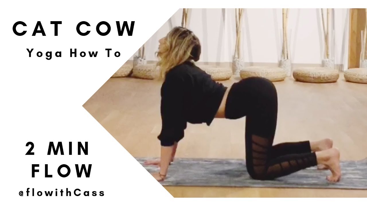 Yoga How To | Cat Cow Pose | FlowithCass - YouTube