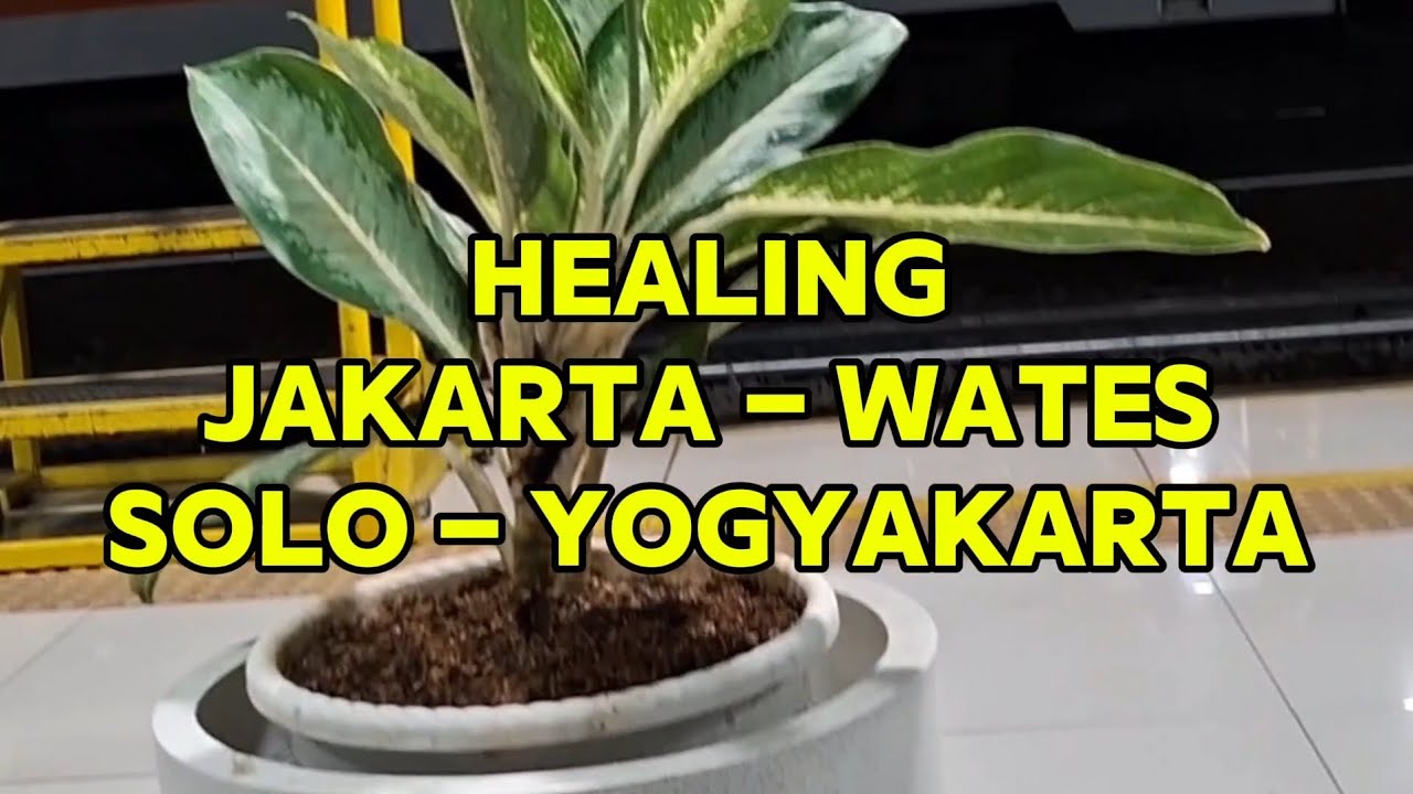 LIBURAN KE YOGYAKARTA -SOLO - WATES - YouTube
