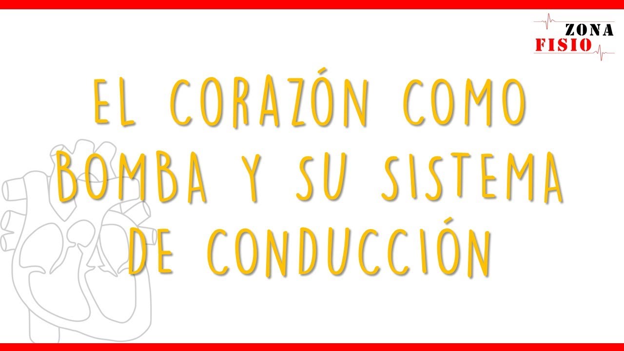 FISIOLOGÍA: EL CORAZÓN COMO BOMBA Y SU SISTEMA DE CONDUCCIÓN - YouTube