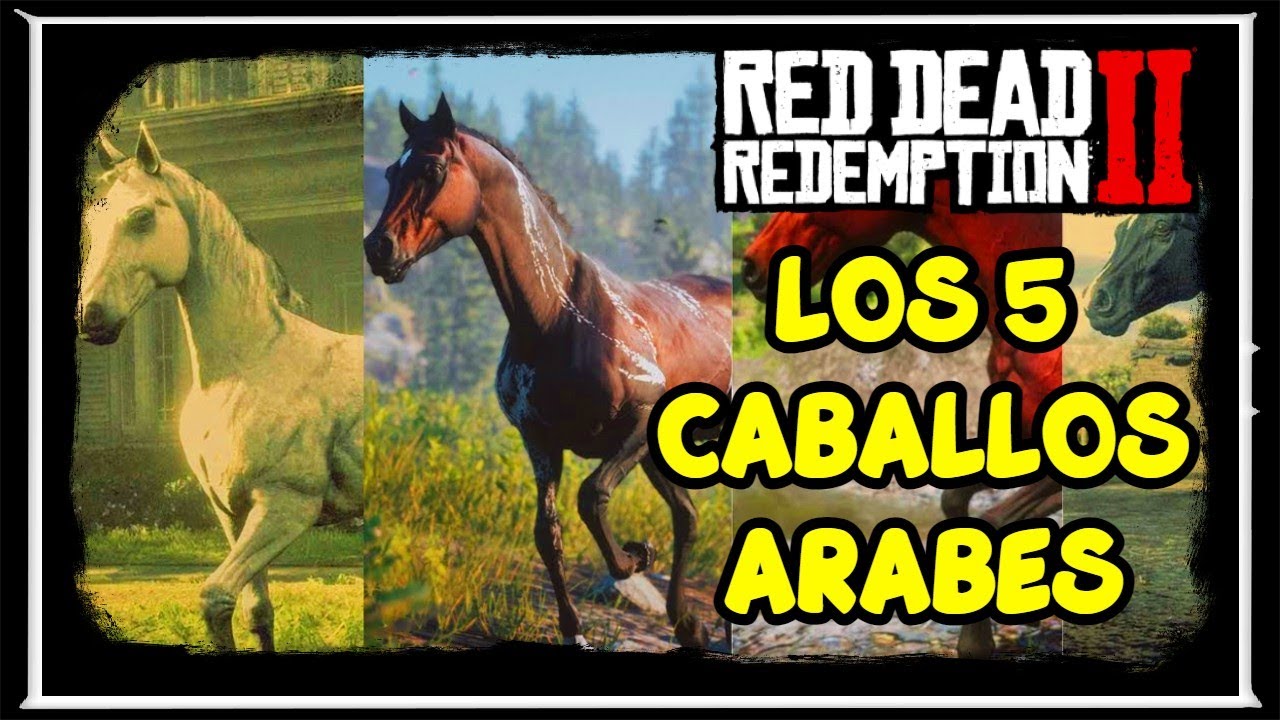 🔥🐎 Los 5 CABALLOS ÁRABES LEGENDARIOS de RED DEAD REDEMPTION 2 😱 - YouTube