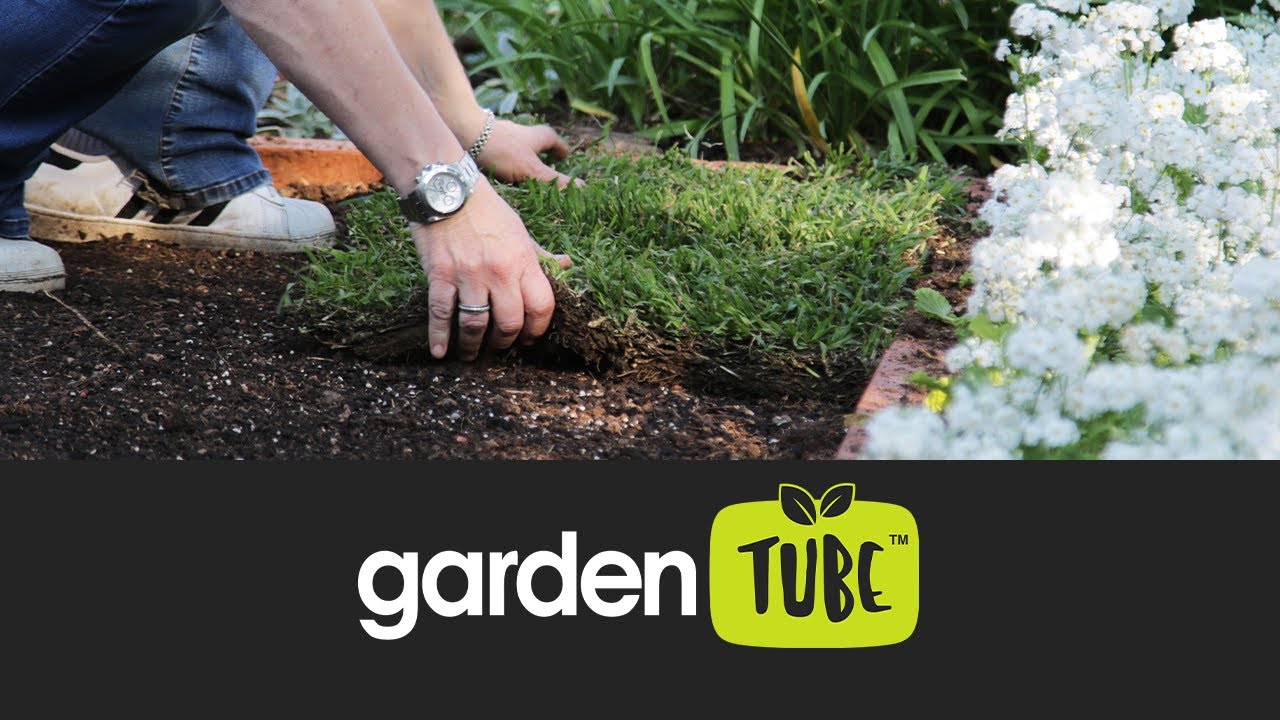 How To Lay Down A Lawn - YouTube