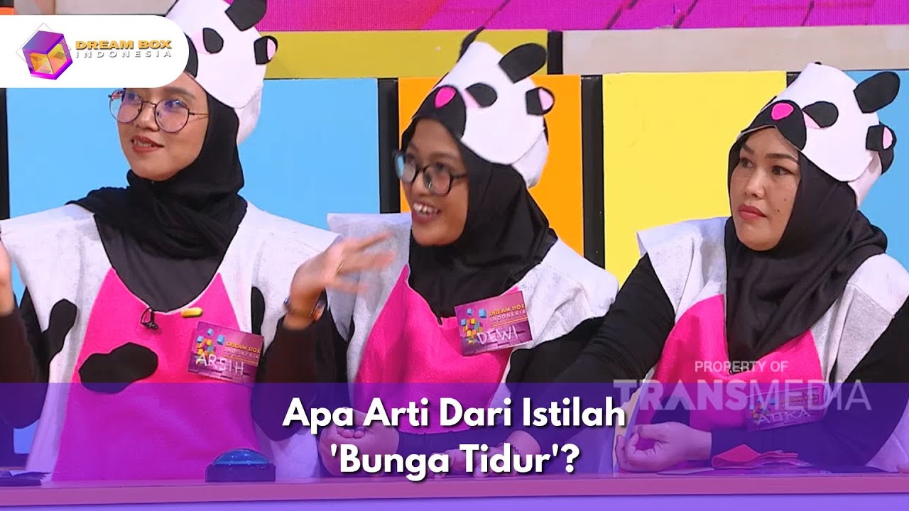 Apa Arti Dari Istilah 'Bunga Tidur'? - DREAMBOX INDONESIA (27/12/24) P3 ...