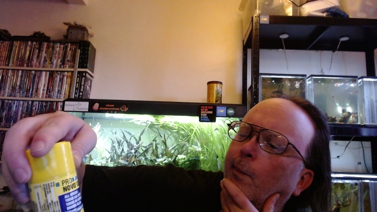 Sunday Sharpe: wet n Windy - YouTube