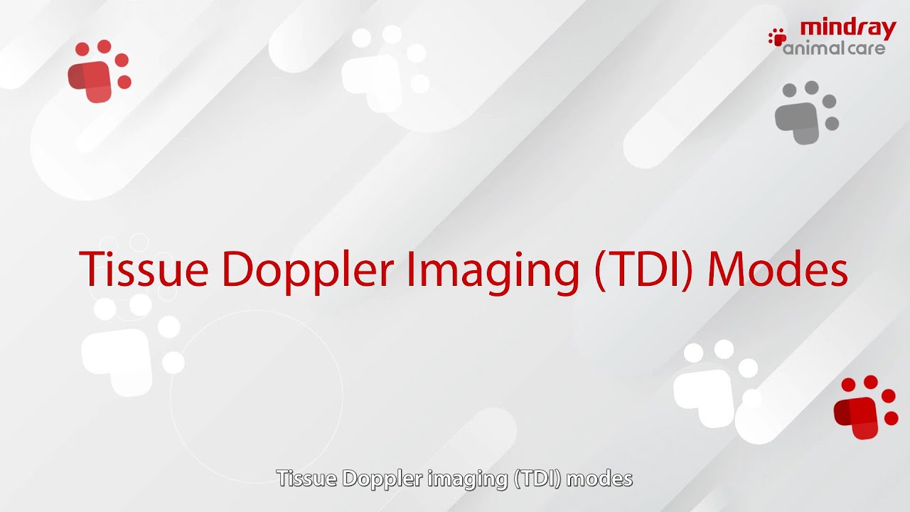 Basic Procedures for TDI & TDI QA - YouTube