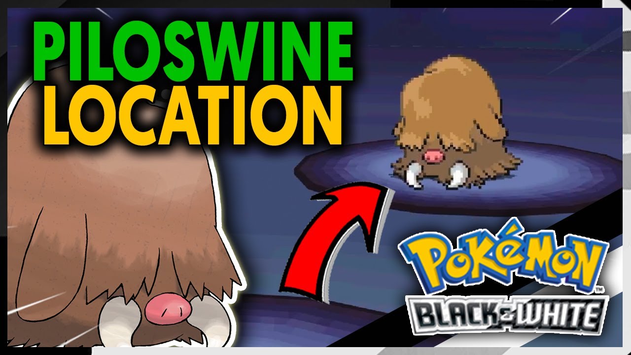 WHERE TO FIND PILOSWINE ON POKEMON BLACK AND WHITE - YouTube