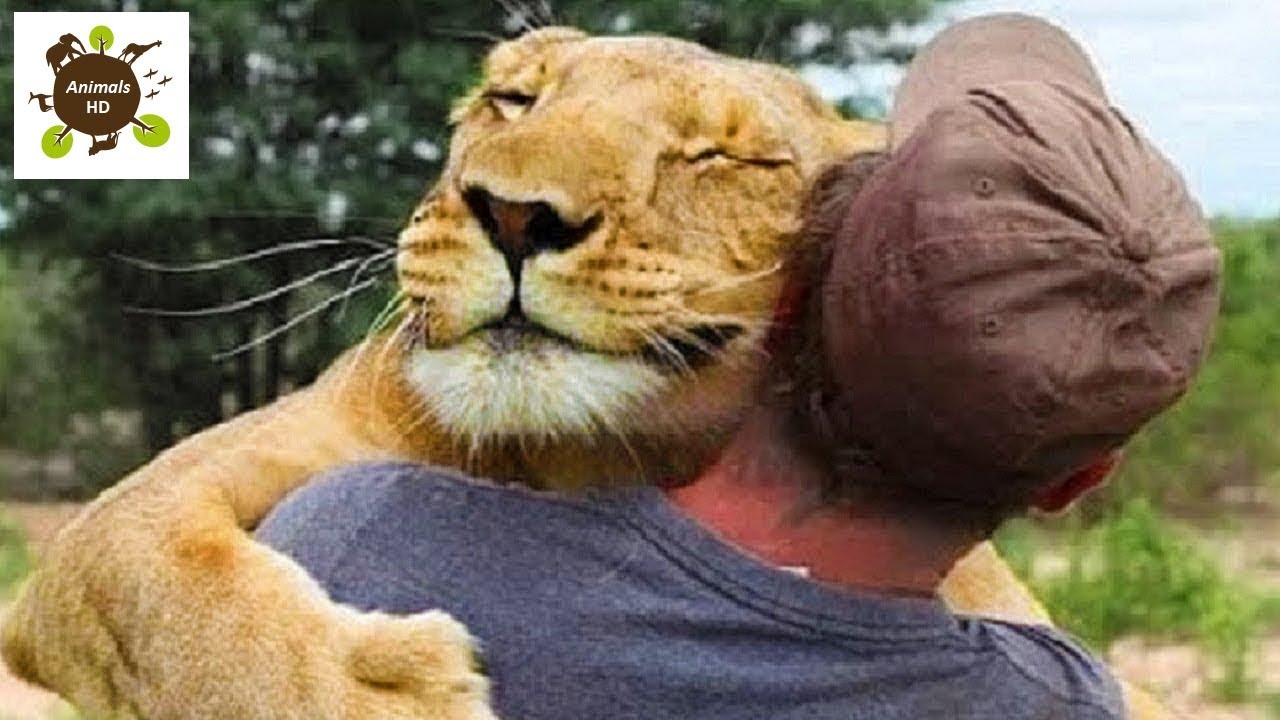 Cutest Animals Hugging Peoples - Animals HD - YouTube
