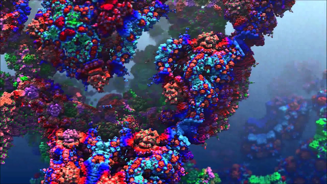 Detail: A Fractal Animation - YouTube