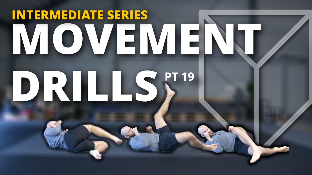 Intermediate Full Body Animal Movement Flow (follow-along) - YouTube