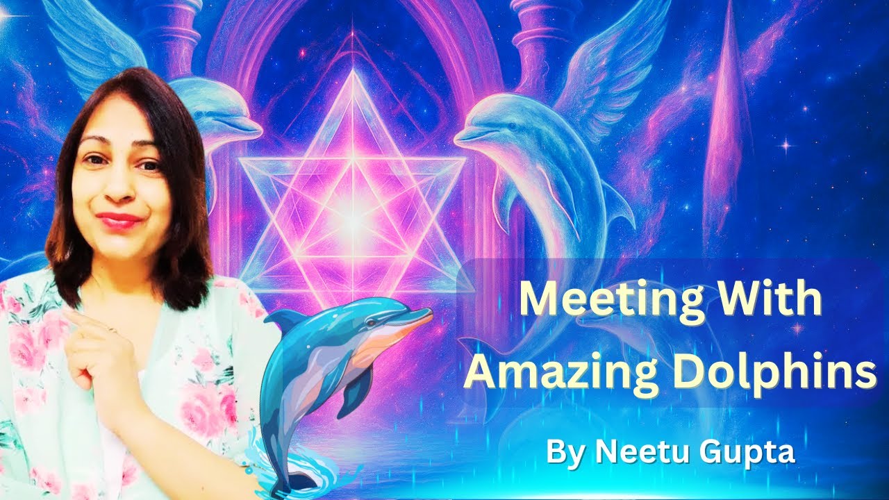 Participants' Experience with Dolphin Healing - YouTube