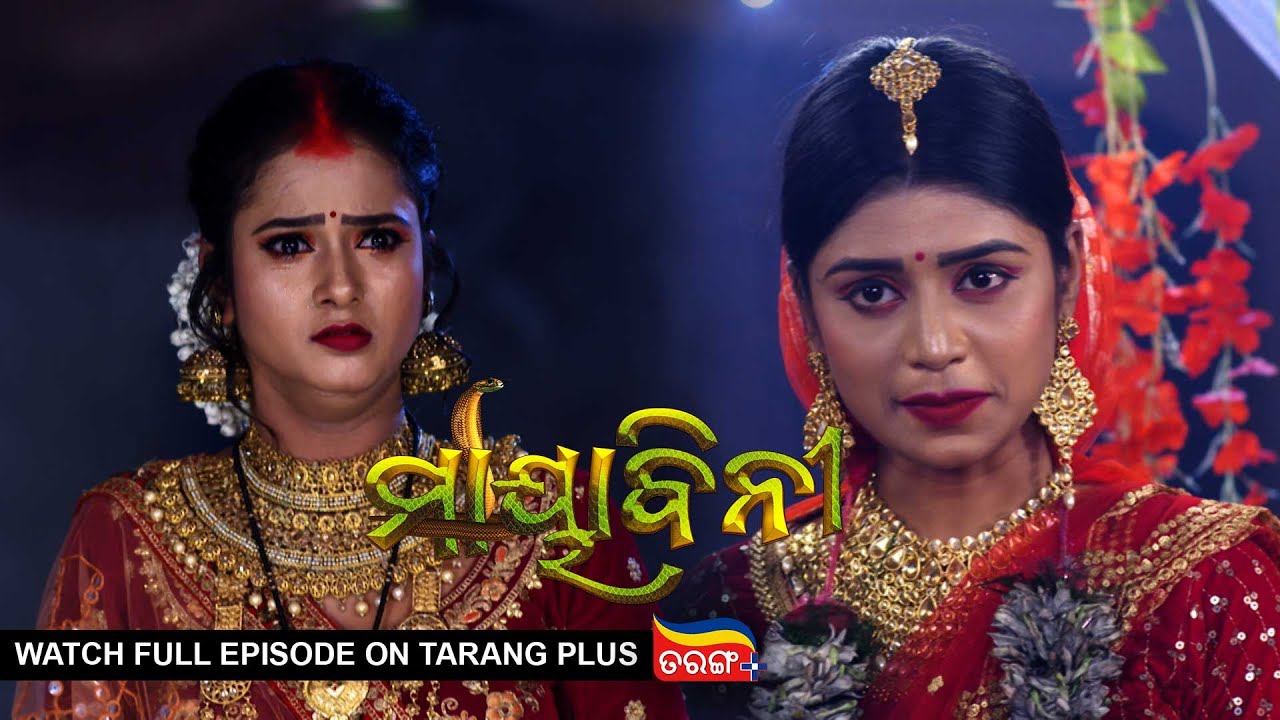 Mayabini | Ep 104 | 14th Feb 2023 | Watch Full Episode Now On Tarang ...