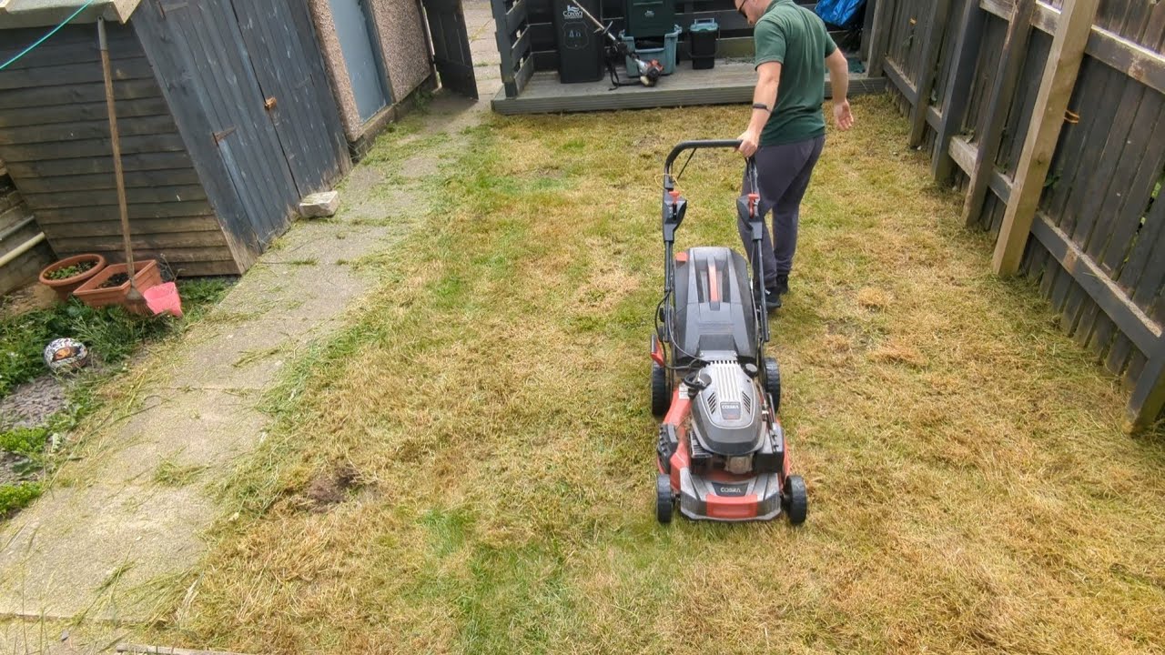 Overgrown garden LAWN Transformation - YouTube