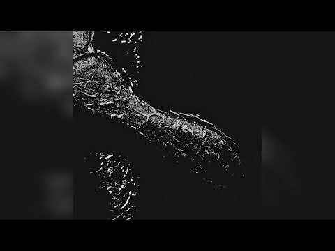 DudePlaya - synthol (Slowed)