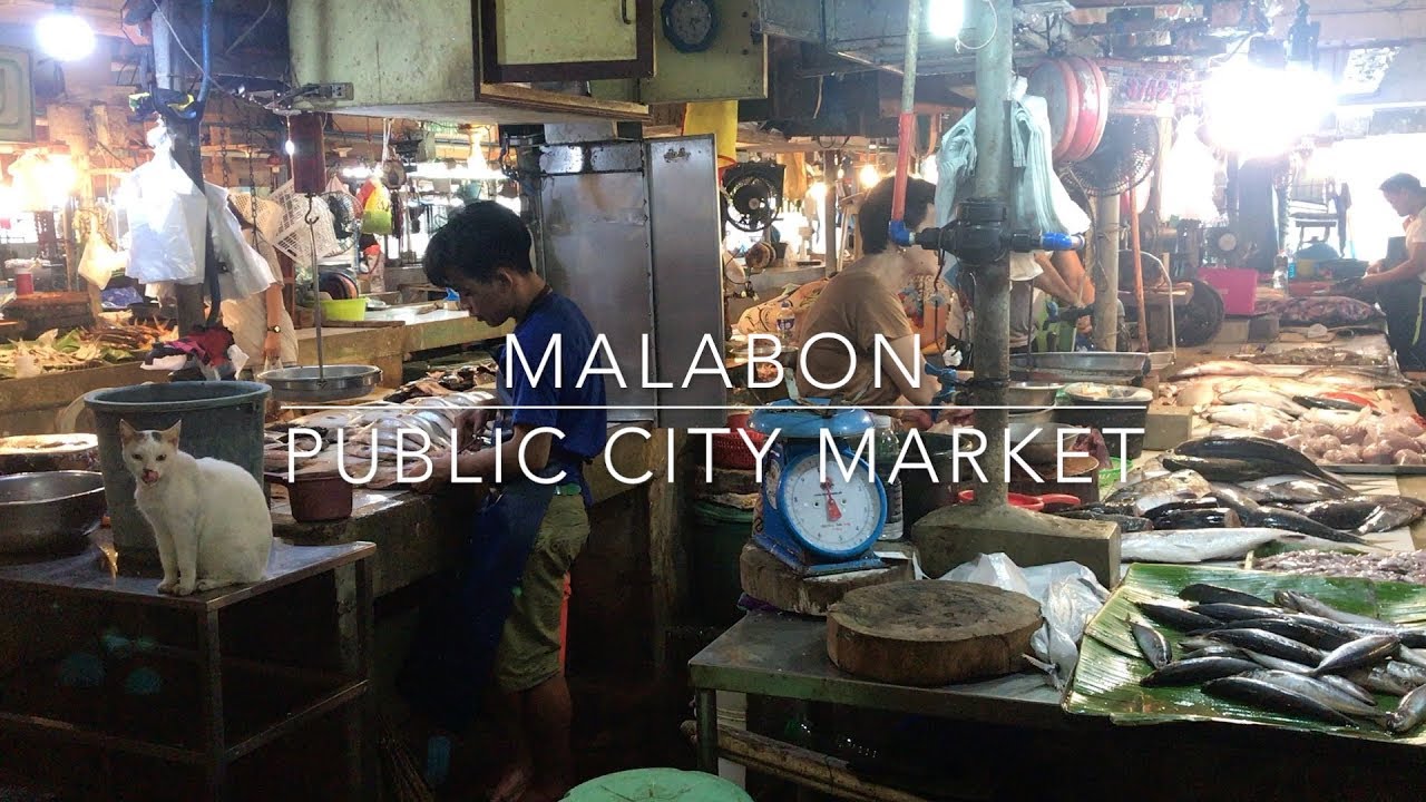 Malabon Public City Market - YouTube