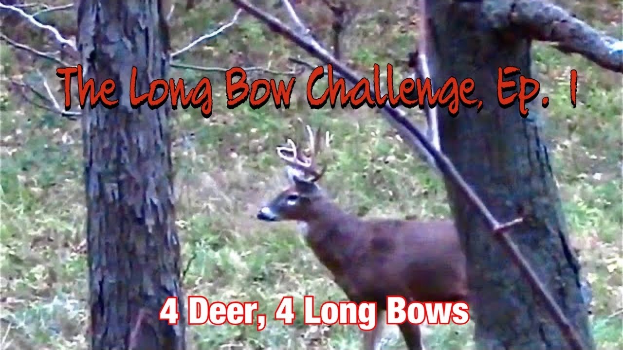 Bow Hunting Iowa with Traditional Long Bow Ep 1, October 21, 2020 - YouTube