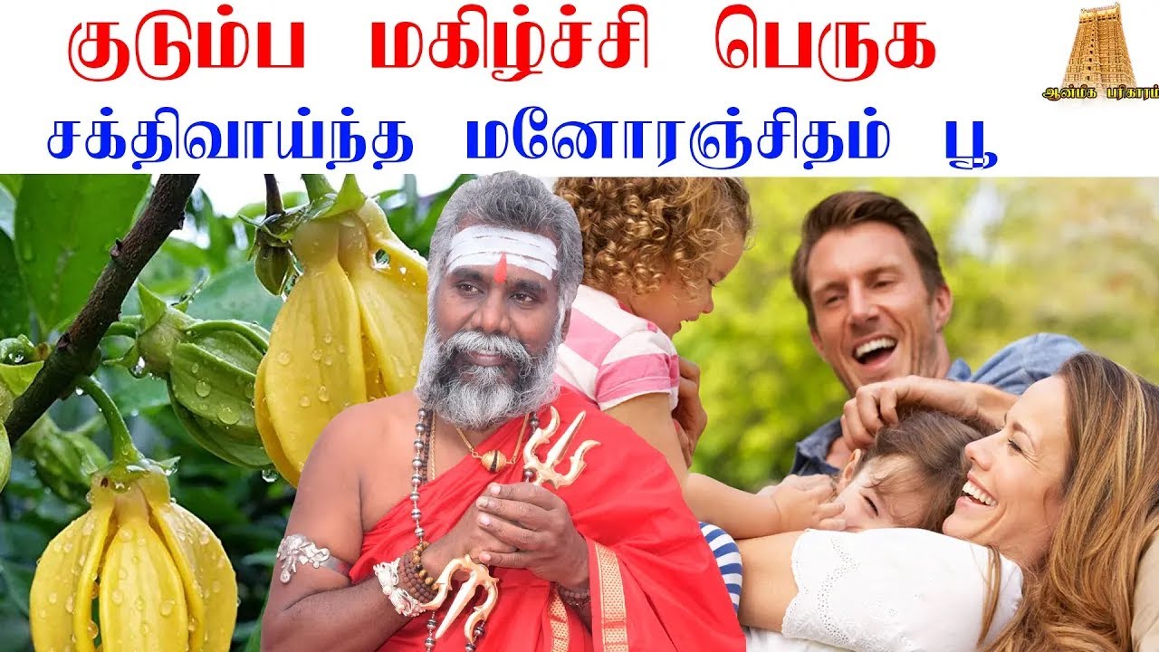 குடும்ப மகிழ்ச்சி பெருக கஷ்டங்கள் கரைய சக்திவாய்ந்த மனோரஞ்சிதப்பூ ...