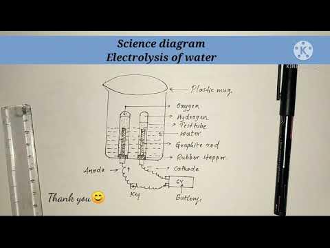 Electrolysis of water| Draw step by step| Science diagram| English ...