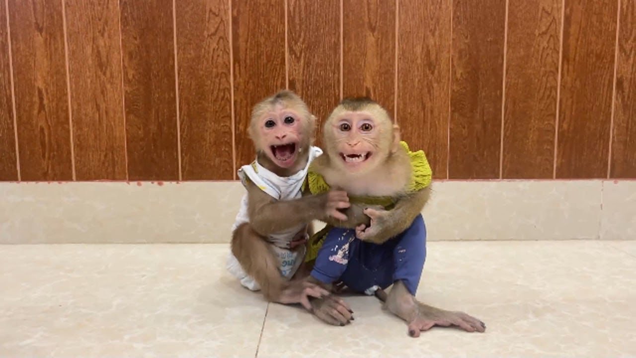 TanTan Emotion Anqry Mom Rush To Hug Marrya - YouTube