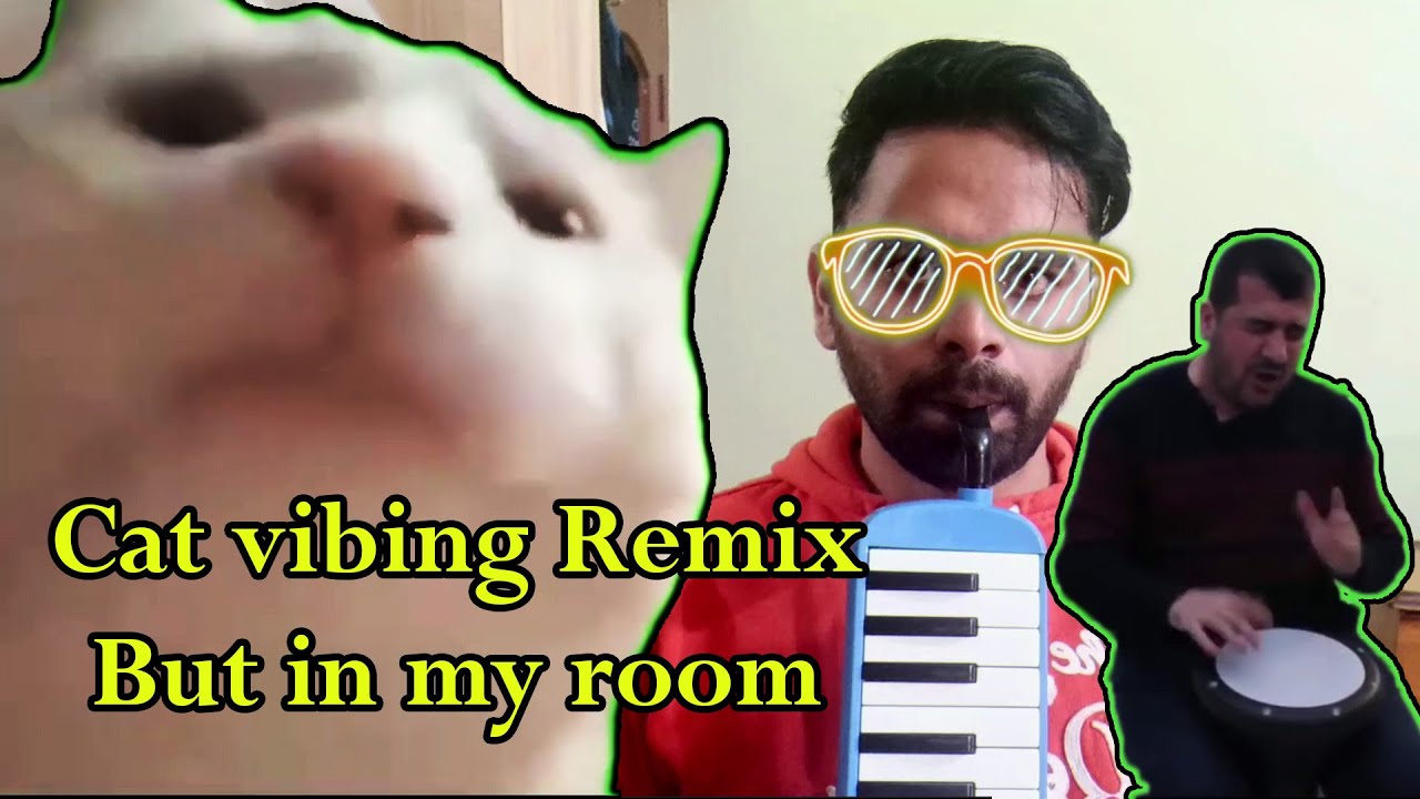 Cat Vibing to Ievan Polkka Remix But in my Room on Harmonica | Cat ...