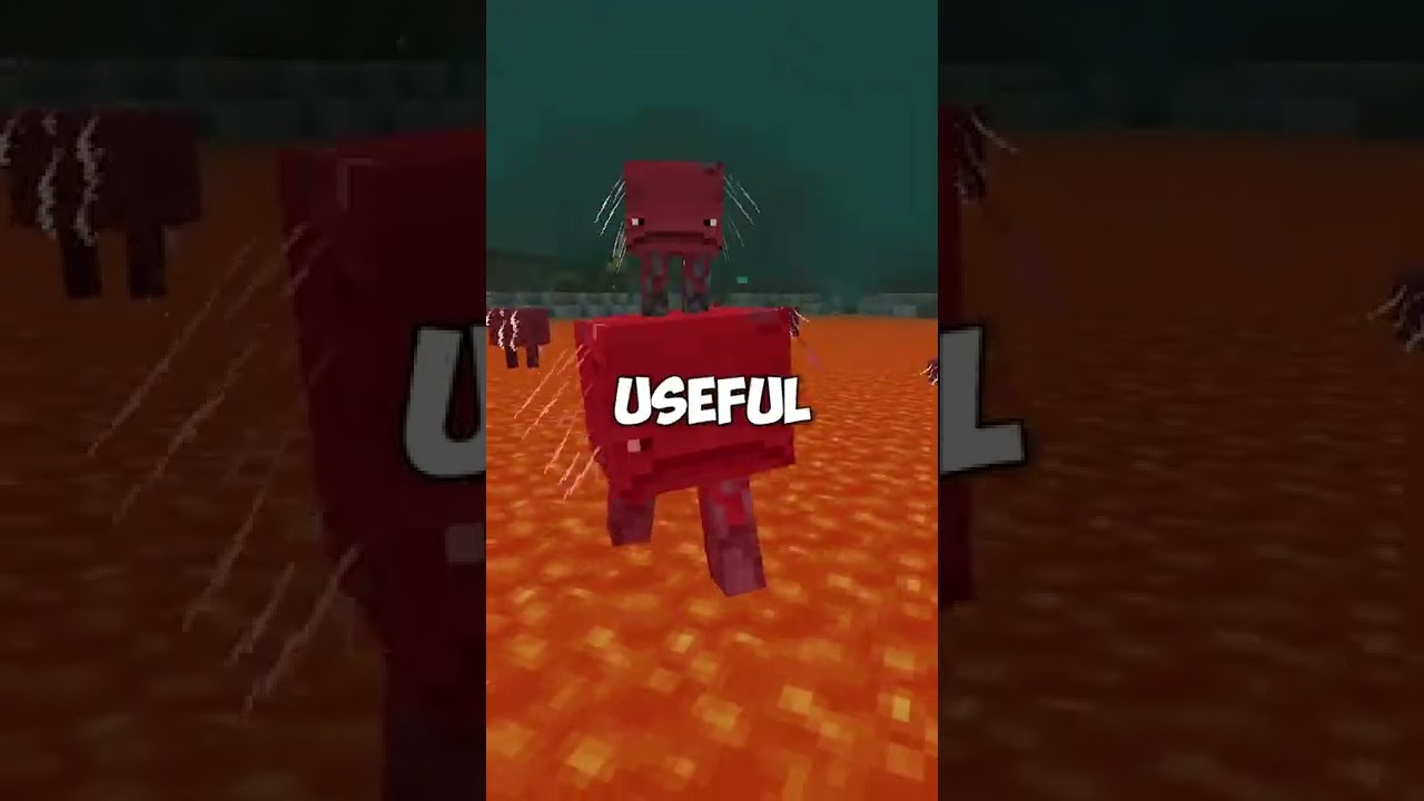 what is the minecraft strider? - YouTube