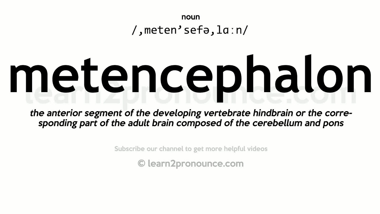Pronunciation of Metencephalon | Definition of Metencephalon - YouTube