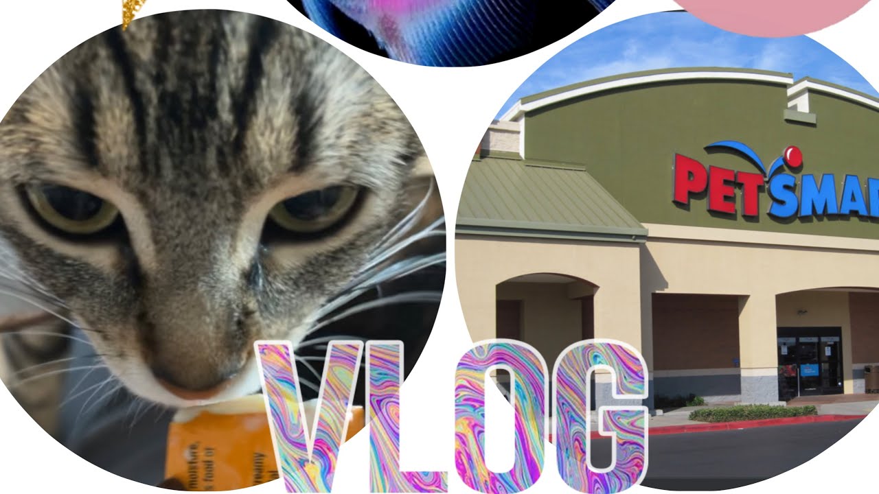 Piercing exp., Petsmart, Ulta vlog :) - YouTube