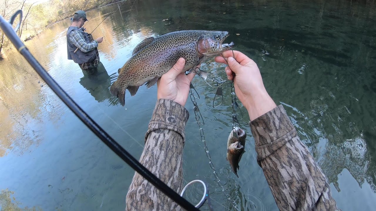 Catching Two Pound Rainbow Trout Out of the Crystal Clear Waters of ...