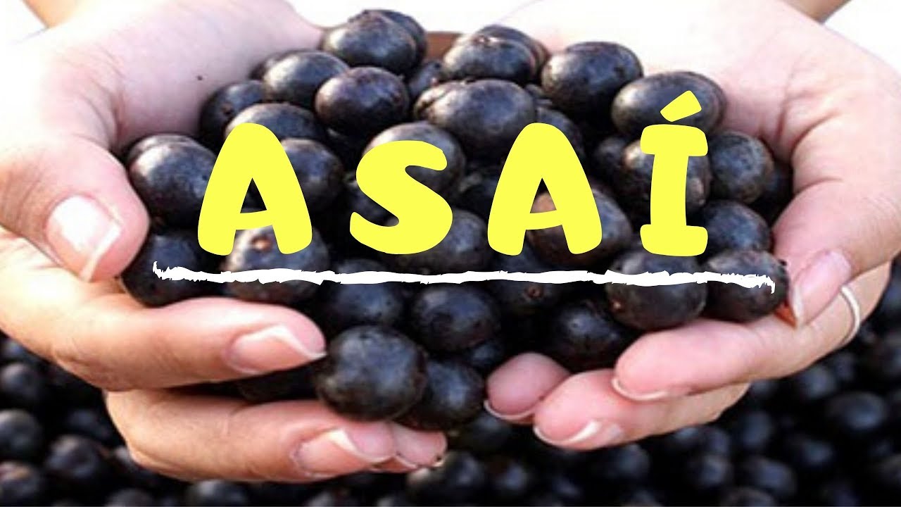 ASAI PROPIEDADES DEL ACAI - BENEFICIOS DE ESTA FRUTA - YouTube