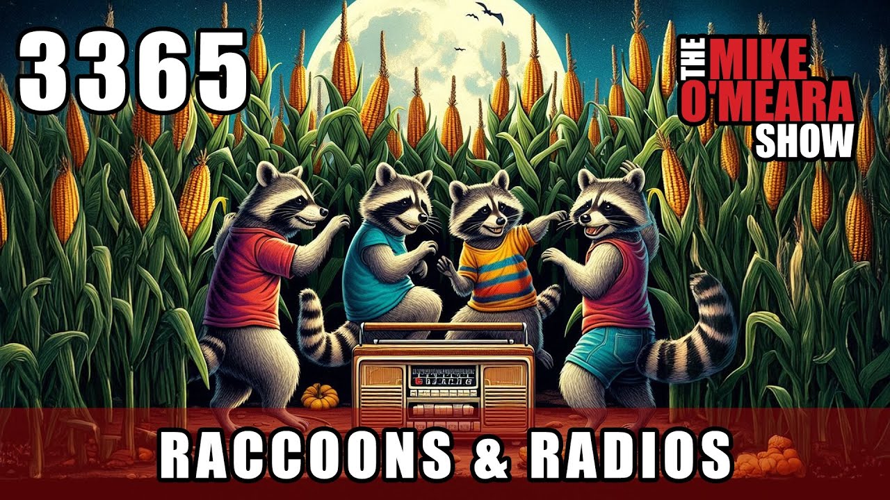 Ep. 3365: Raccoons & Radios - YouTube
