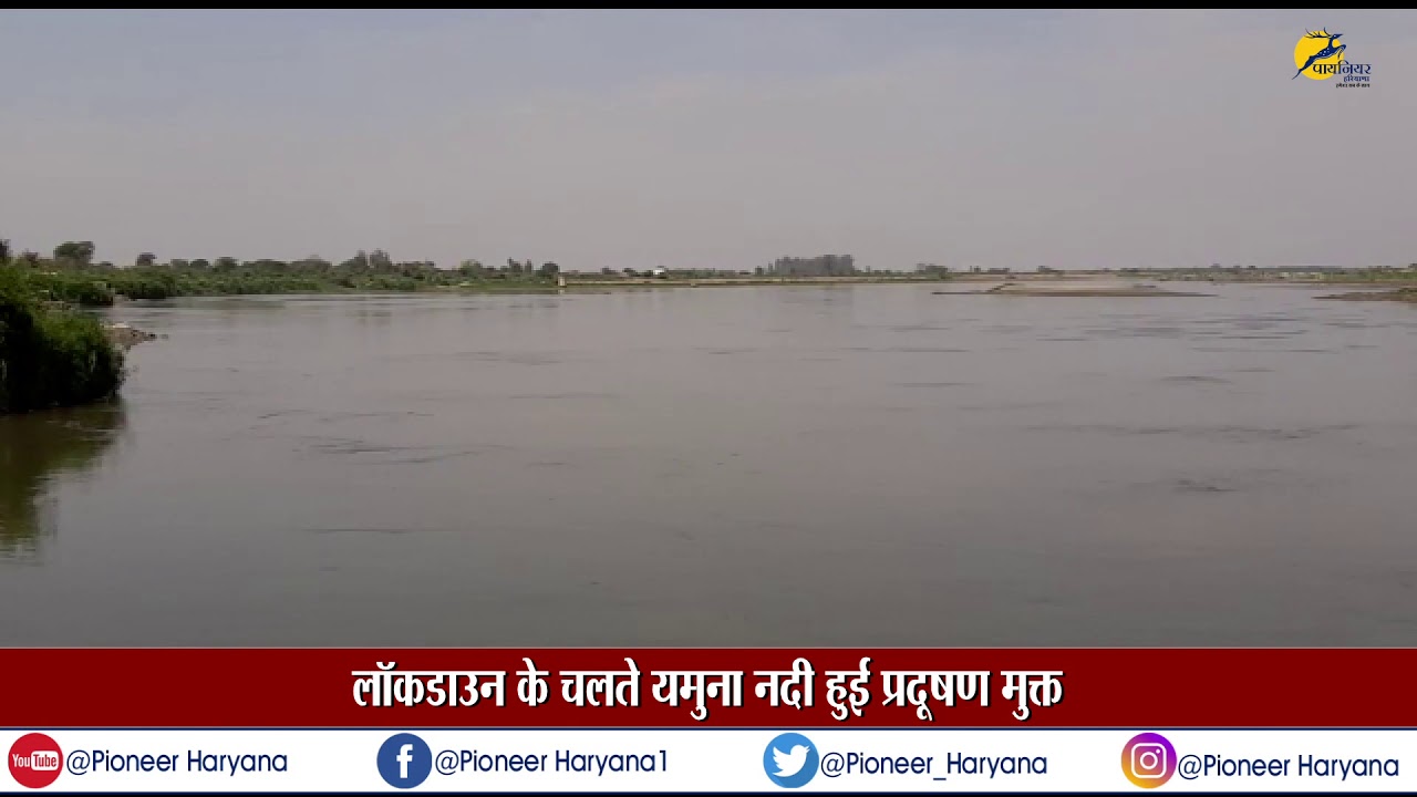 Yamuna River : Lockdown News | Corona Crisis || लॉक डाउन के चलते यमुना ...
