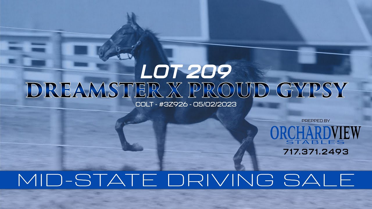 Dreamster x Proud Gypsy | Mid-State Driving Sale - YouTube