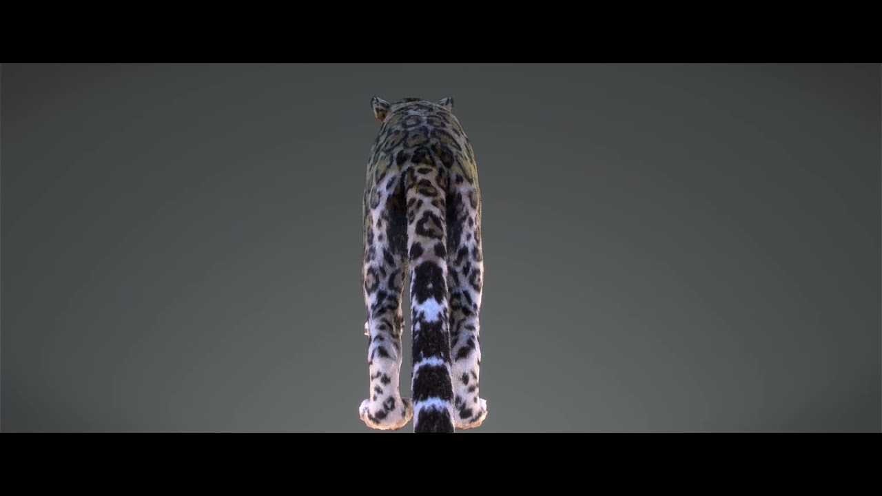 [ JAGUAR ] - turn lookdev jaguar - YouTube