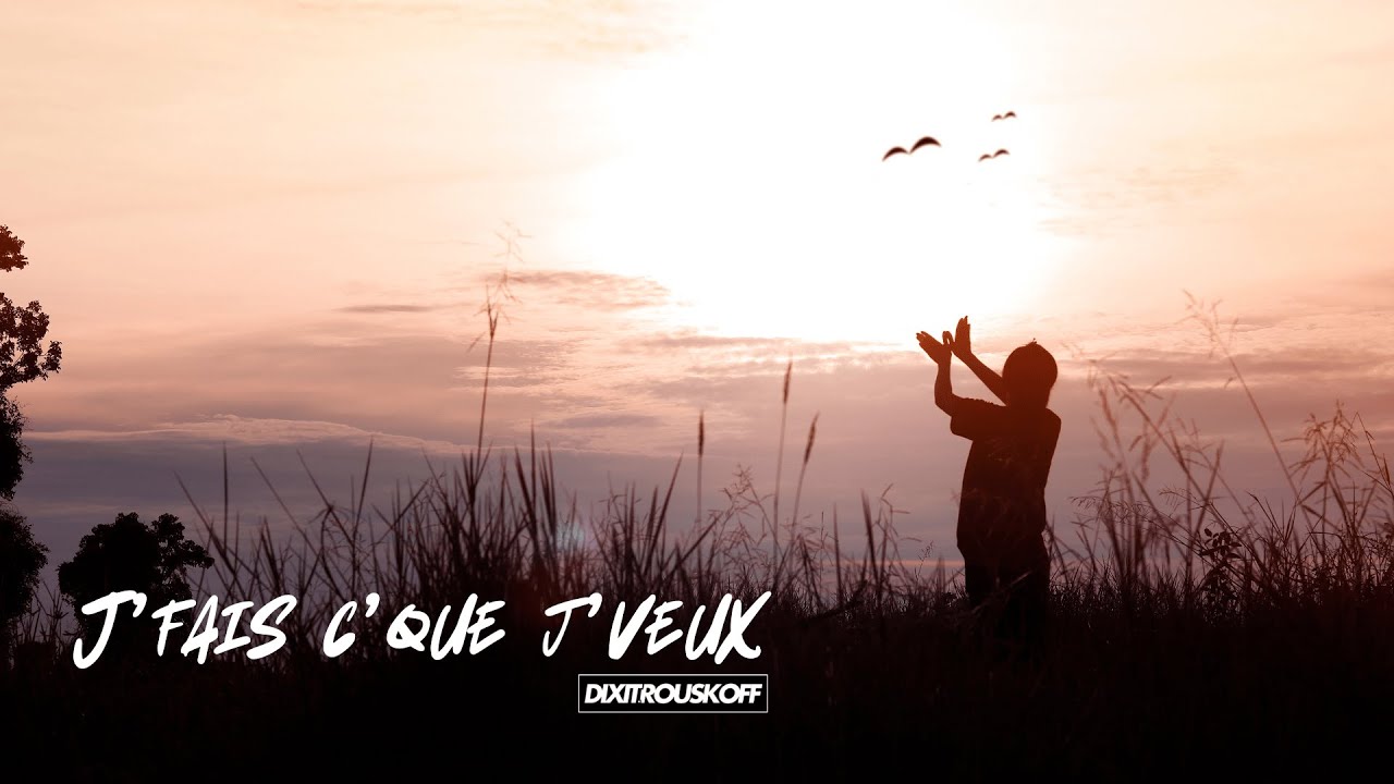 J’fais c’que j’veux – DIXIT.ROUSKOFF [Lyrics Officiels / Paroles ...