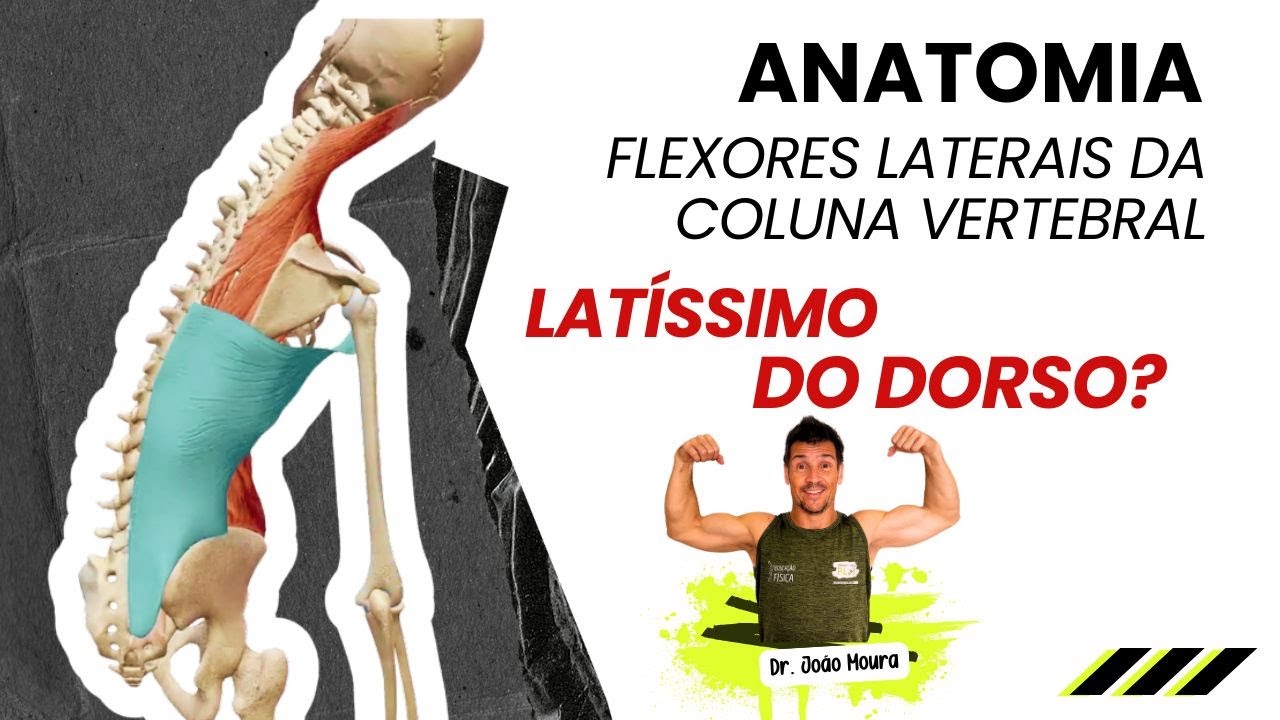 Flexão Lateral da Coluna: Que Músculos Produzem Esse Movimento? - YouTube