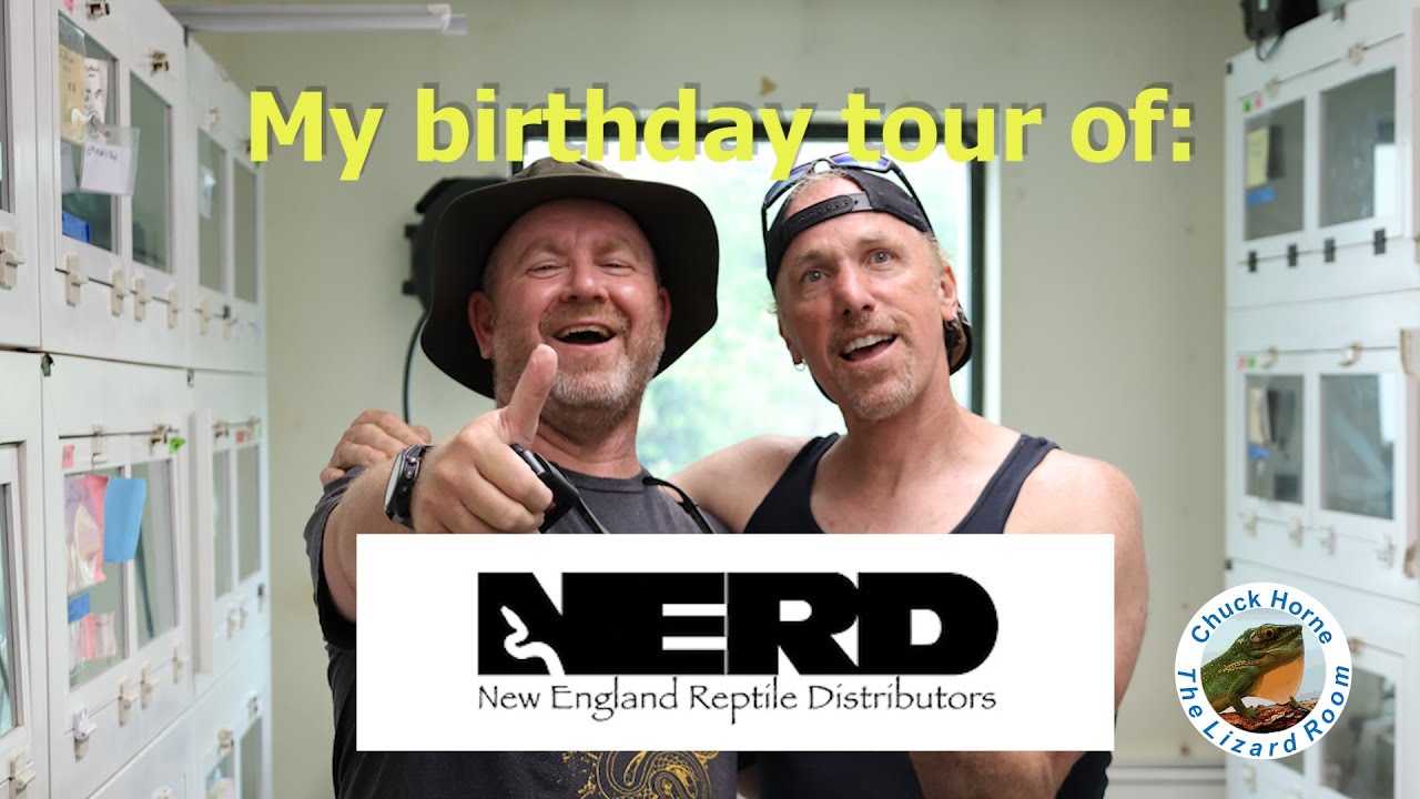 Birthday Tour of NERD, New England Reptile Distributors! - YouTube