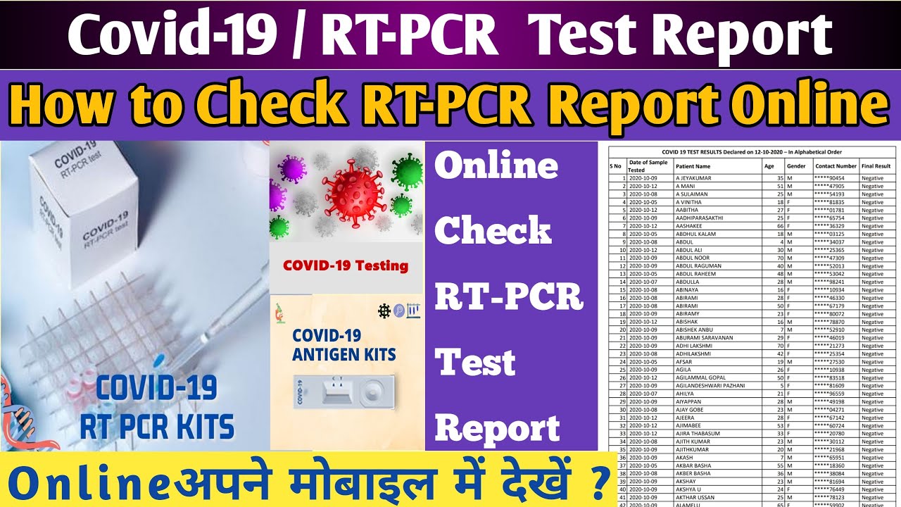 Check Covid 19 Test report Online | How to Check RT PCR Report Online ...