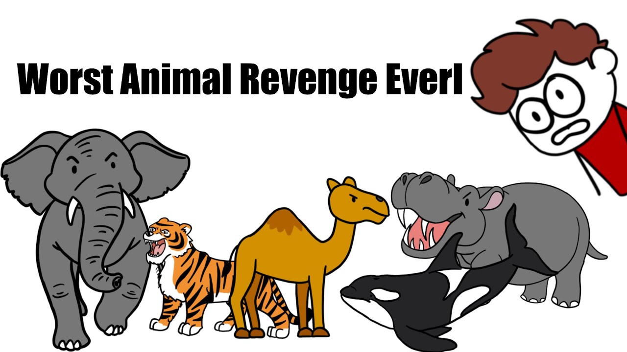 You Won't Believe the CRAZY Ways Animals Get Revenge - YouTube