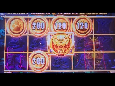 POWER PANTHER session...Playing all 3 versions to get a win ...