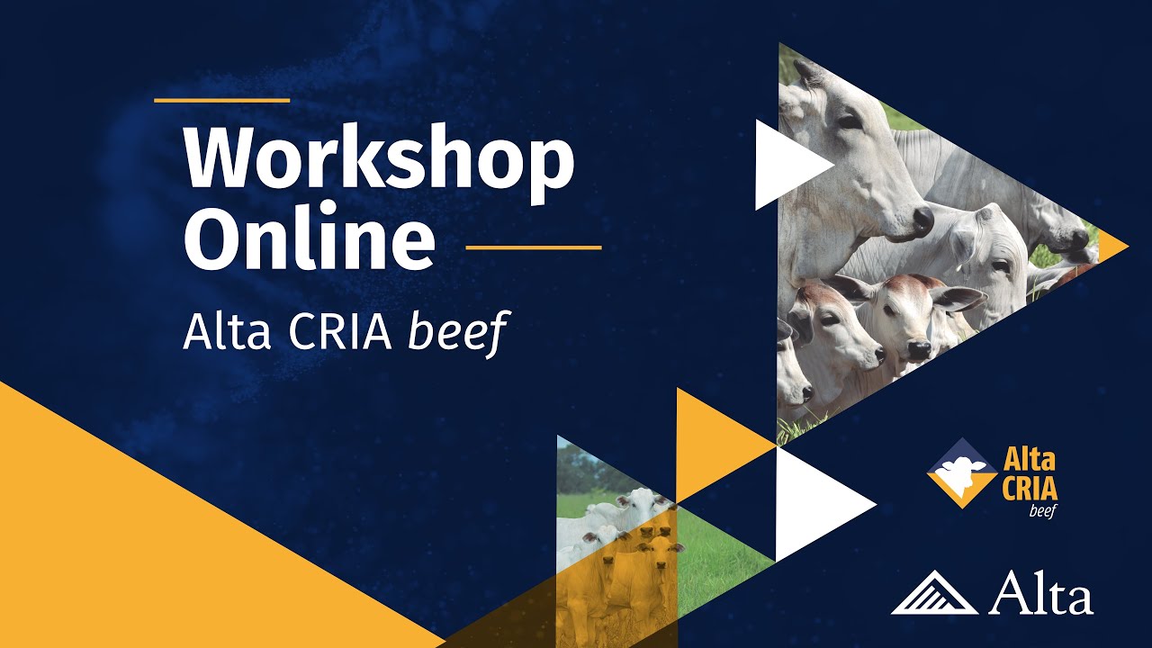 Workshop Online - Alta Cria Beef - YouTube