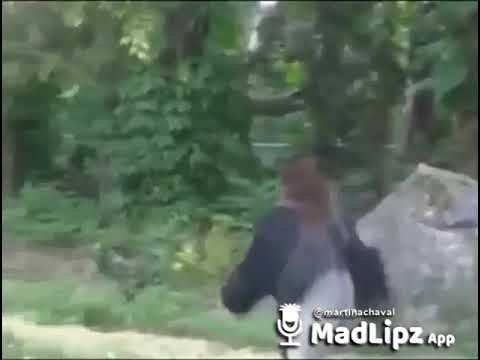 El gorila putiando un puto video