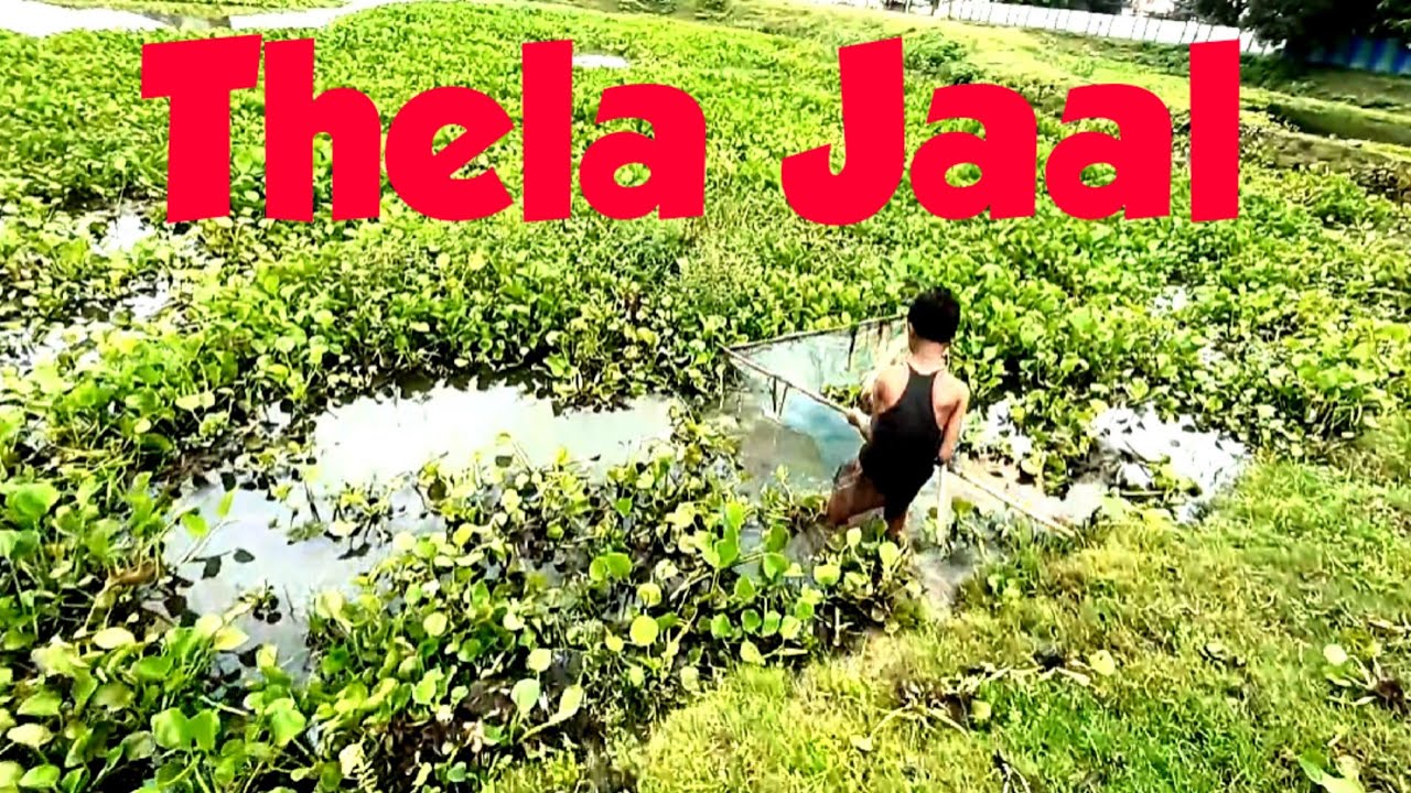 Thela Jaal || Fishing Gear|| Tarique Aziz Hussain || Traditional fish ...