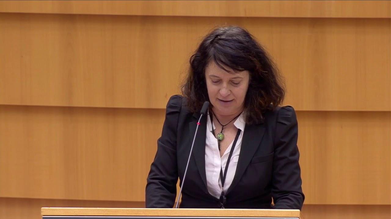 Irène Tolleret 15 Dec 2020 plenary speech on REACT EU - YouTube