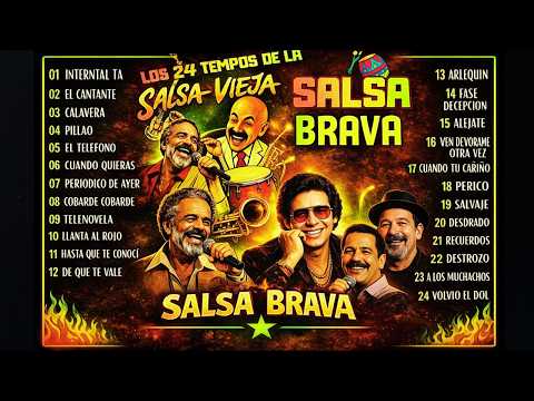 Salsa Vieja Mix✨Héctor Lavoe, Rubén Blades, Eddie Santiago, Maelo Ruiz 👑 Salsa Romantica Para Bailar