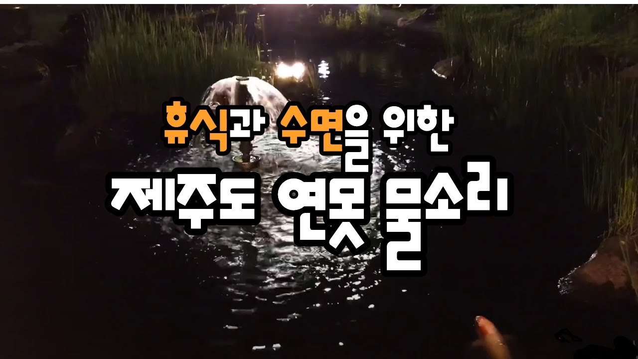 편안한 휴식과 깊은 수면을 유도하는 제주도 연못 물소리 ASMR | Soothing Pond Sounds for Deep ...