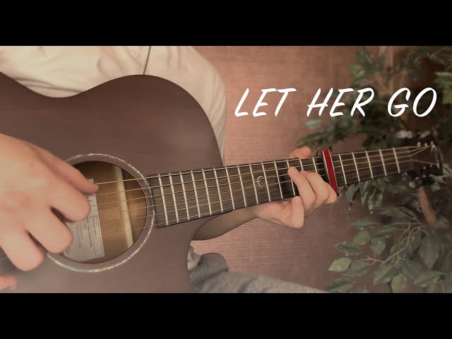 Fingerstyle Tabs Let Her Go Passenger Fingerstyle Tabs Let Her Go 7805