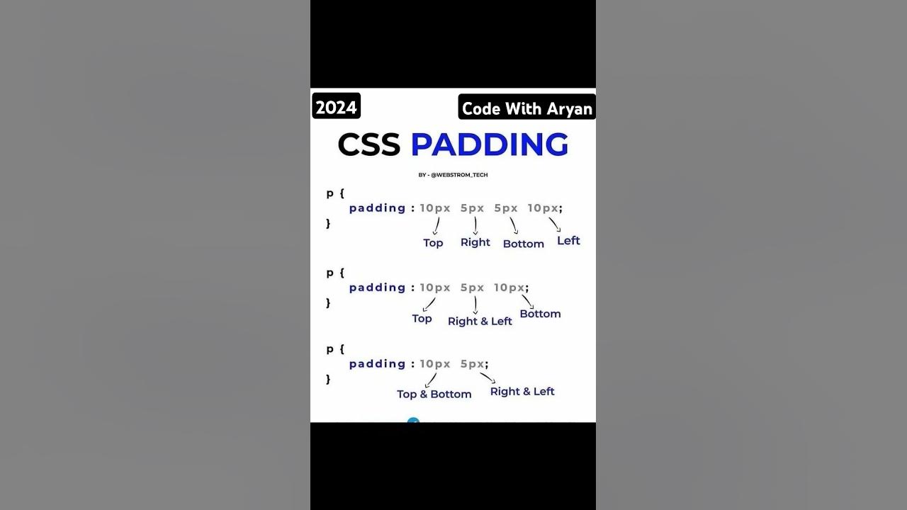 Css Padding Html Webdesign Coding Programming Webdevelopment Css Javascript Php Python 