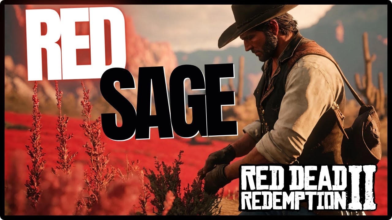 Red Sage Location - Red Dead Redemption 2 - YouTube