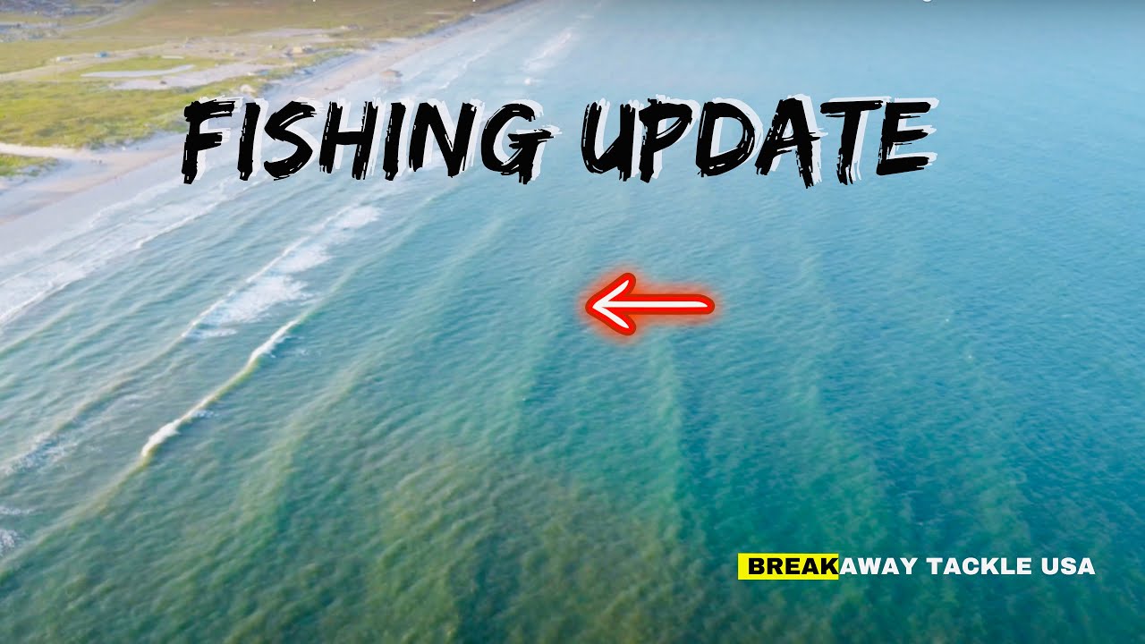 Getting Better & Better!! Your Best Damn Beach Report From Corpus ...