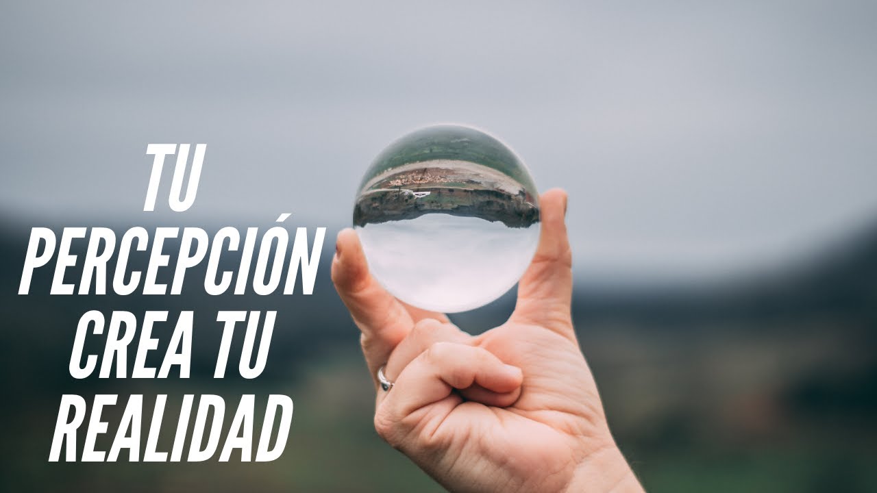 Tu Percepción Crea Tu Realidad: Cómo Usar La Percepción Para Crear La ...