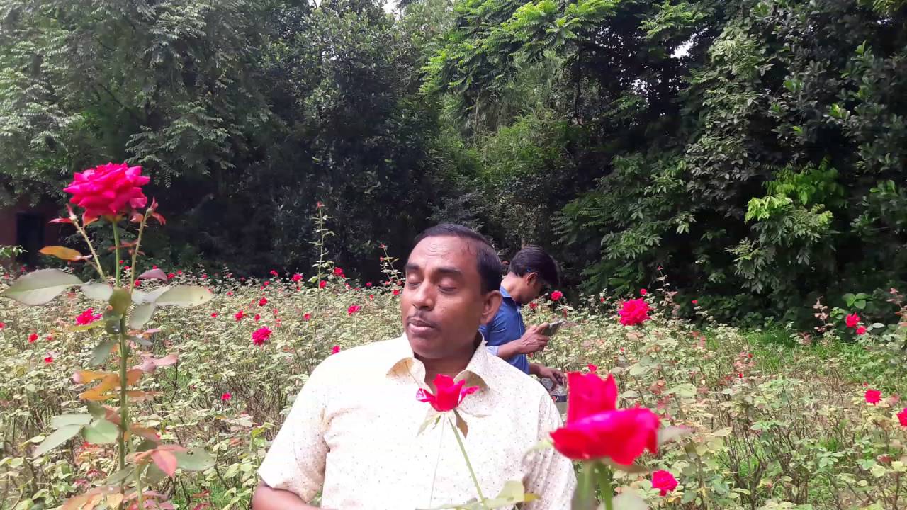 Golap gram, Sadullapur, Birulia, Savar-3/ গোলাপ গ্রাম, সাদুল্লাপুর ...