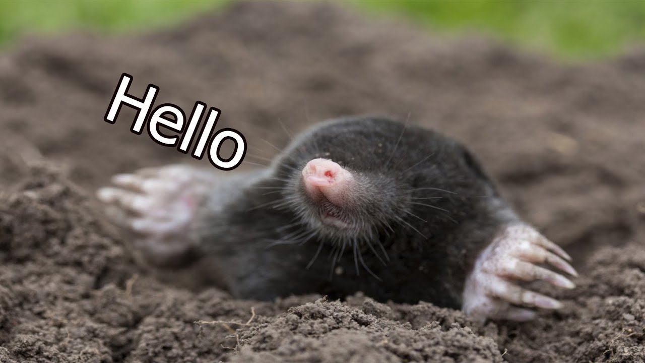 HoN : SerieNormal เเครี่ที่แก็งมันที่สุดในโลก Tremble - YouTube